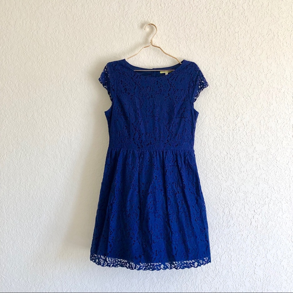 Gianni Bini Royal Blue Lace Cocktail Dress - Gem